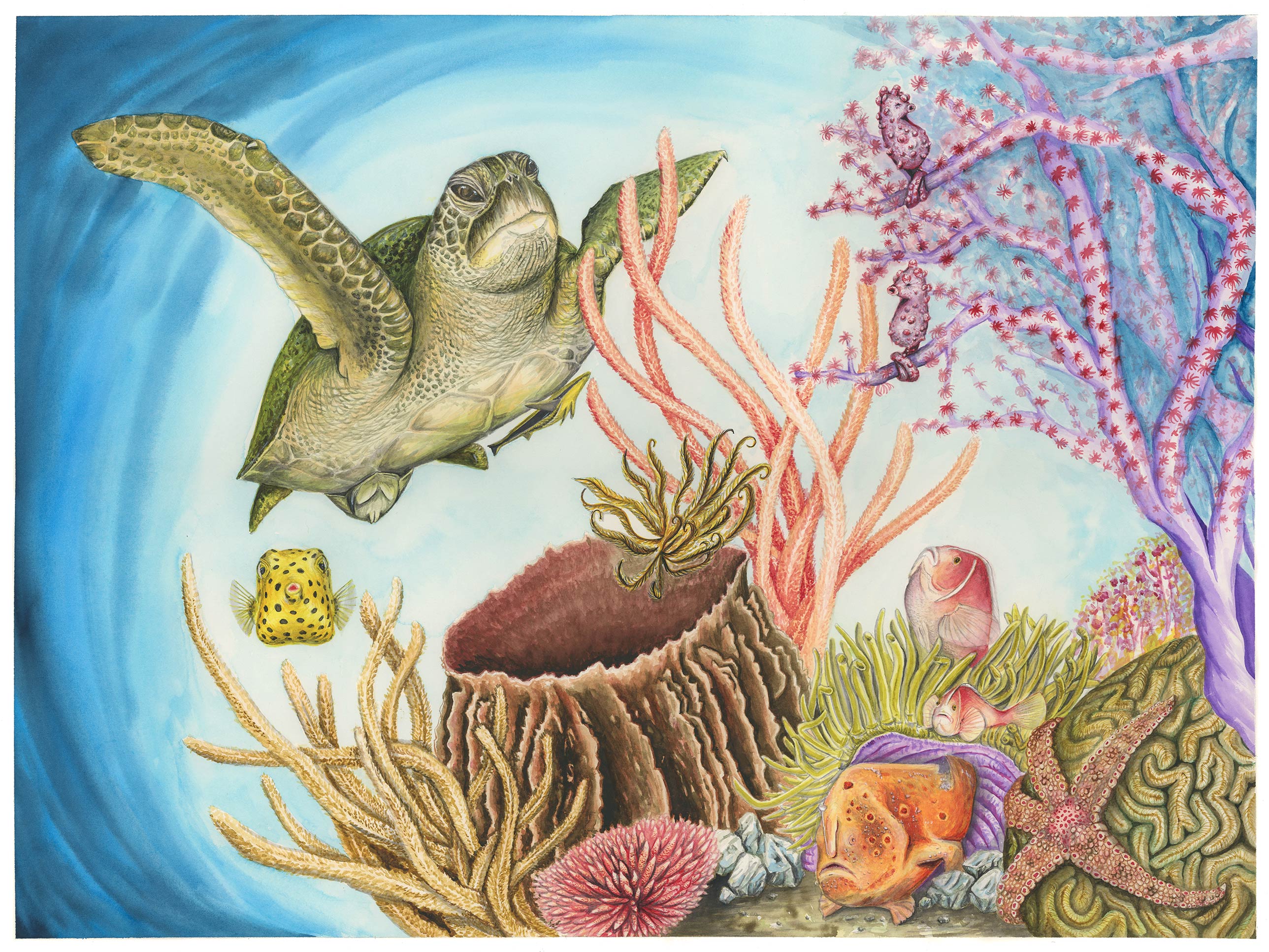 Sea Connection Art by Simone Tomazela