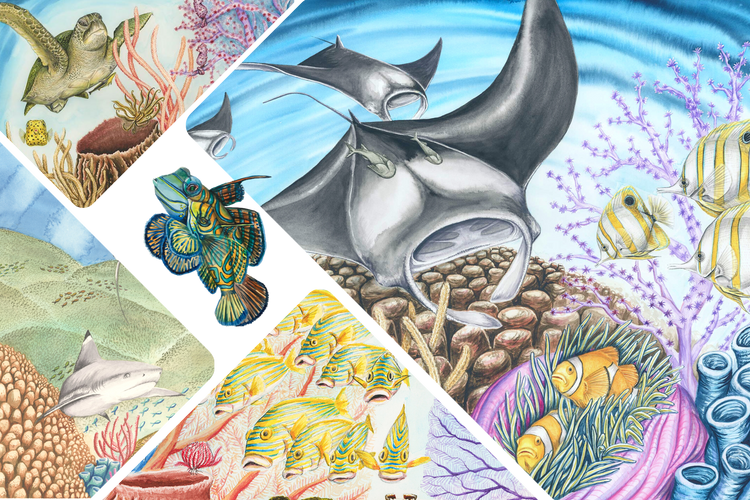 Sea Connection Art by Simone Tomazela